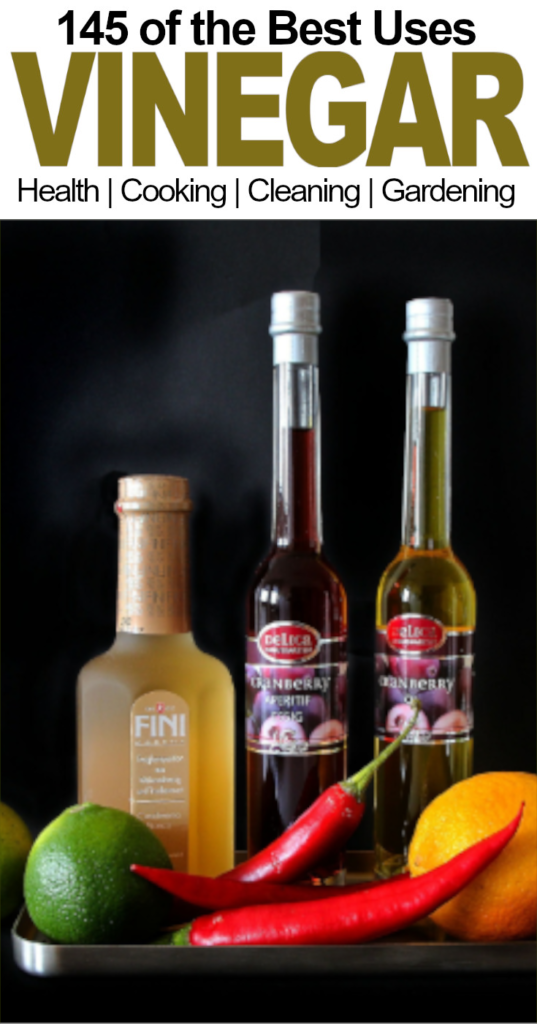 Unlock 145+ of the Best Uses for Vinegar | Fluster Buster