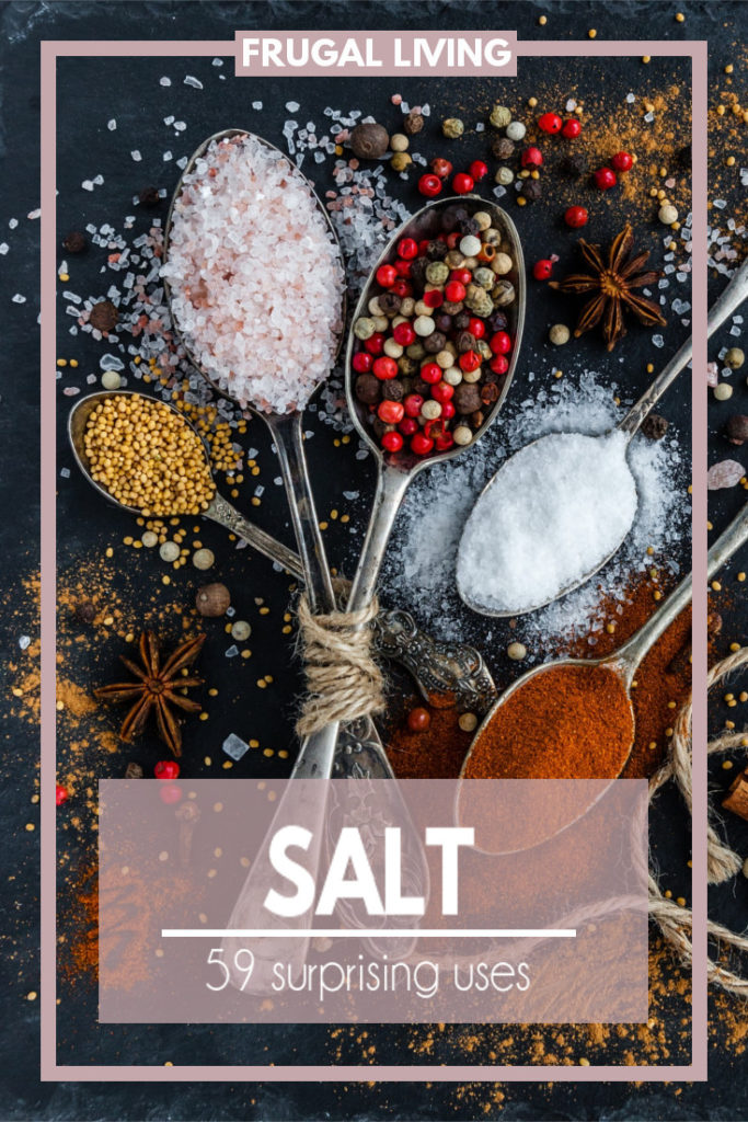 59 Unexpected Uses for Salt | Fluster Buster