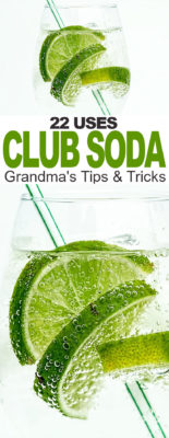 22 Ways to Use Club Soda to Save Money | Fluster Buster