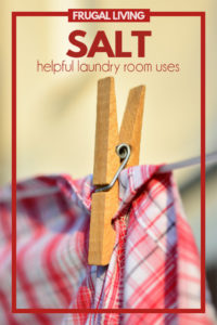 Salt in the Laundry Room (plus other helpful tips) | Fluster Buster
