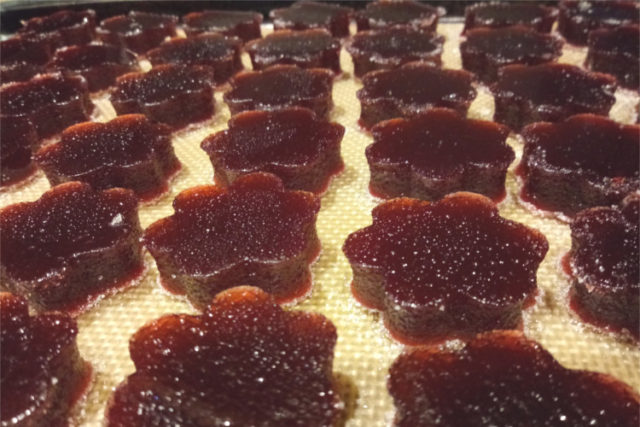 Simple Fruit Flavored Gumdrops Candy | Fluster Buster