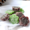 Simple Fruit Flavored Gumdrops Candy | Fluster Buster